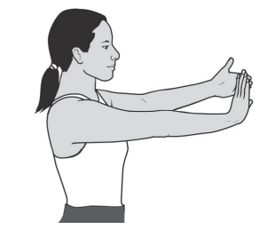 Kineziterapija esant alkūninio nervo neuropatijai | VšĮ Šiaulių ...